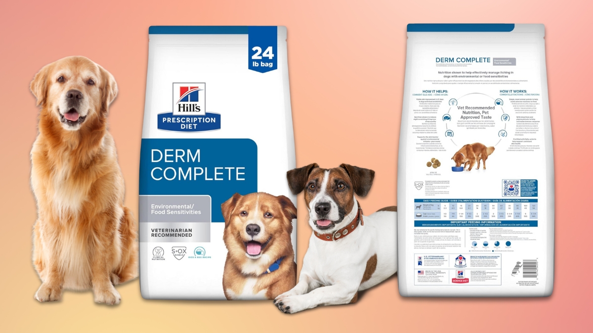 Hill's Prescription Diet Derm Complete Dog Food Review: A Trusted ...