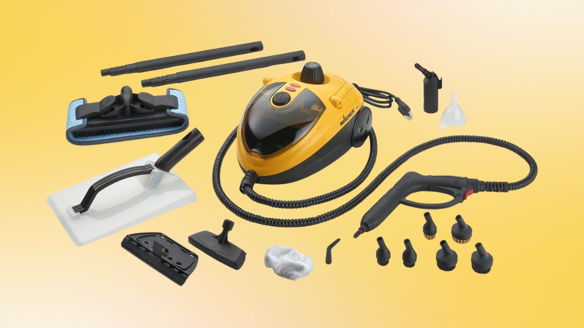 Wagner 915e On-Demand Steam Cleaner: Simple Cleaning Without Harsh ...